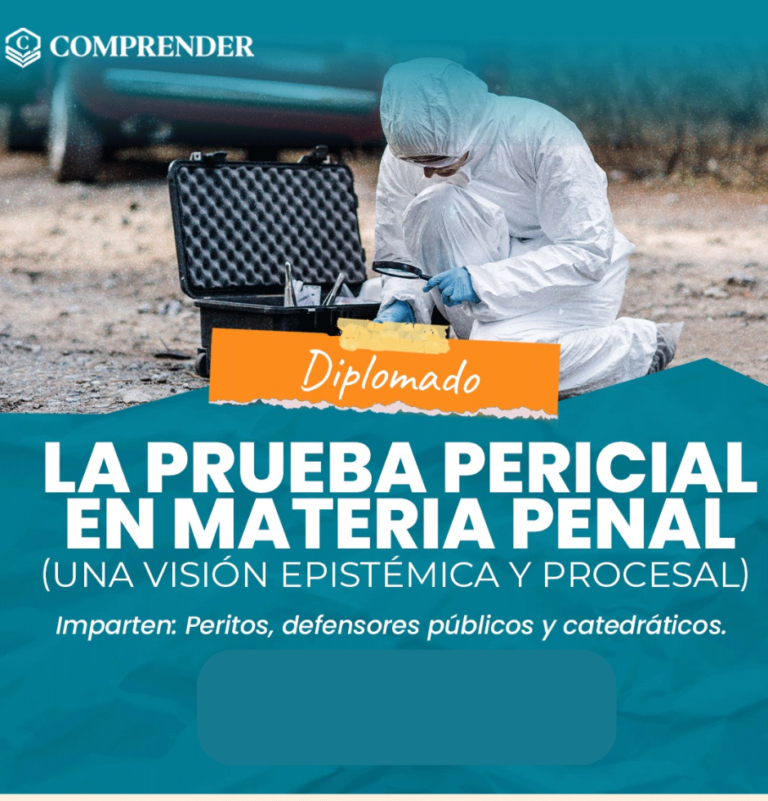 Educación a distancia - Colegio Comprender