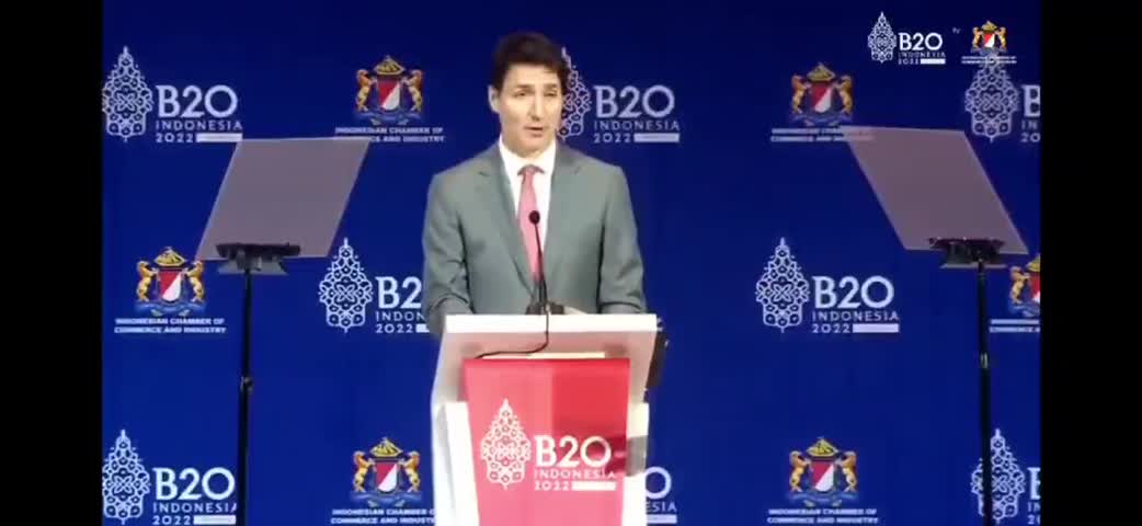 Speaking at the B20 (the business leaders offshoot of the G20) Trudeau ...