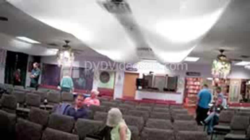 Organ Healing by Sarah Adams, multidimensional coach