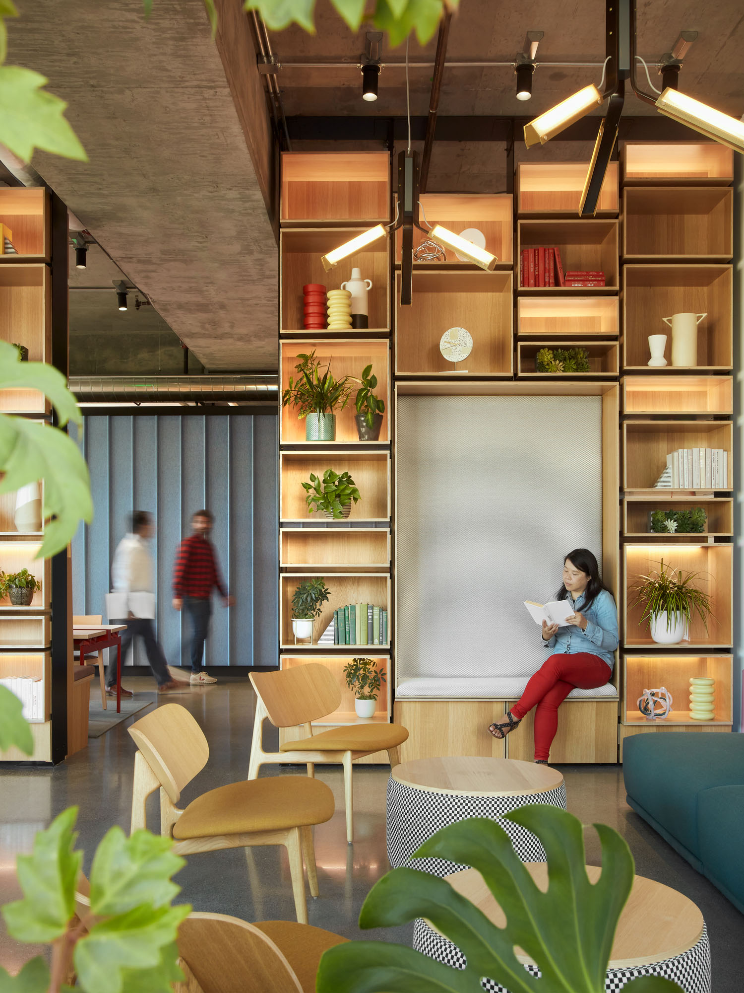 CZI Project - Luminii