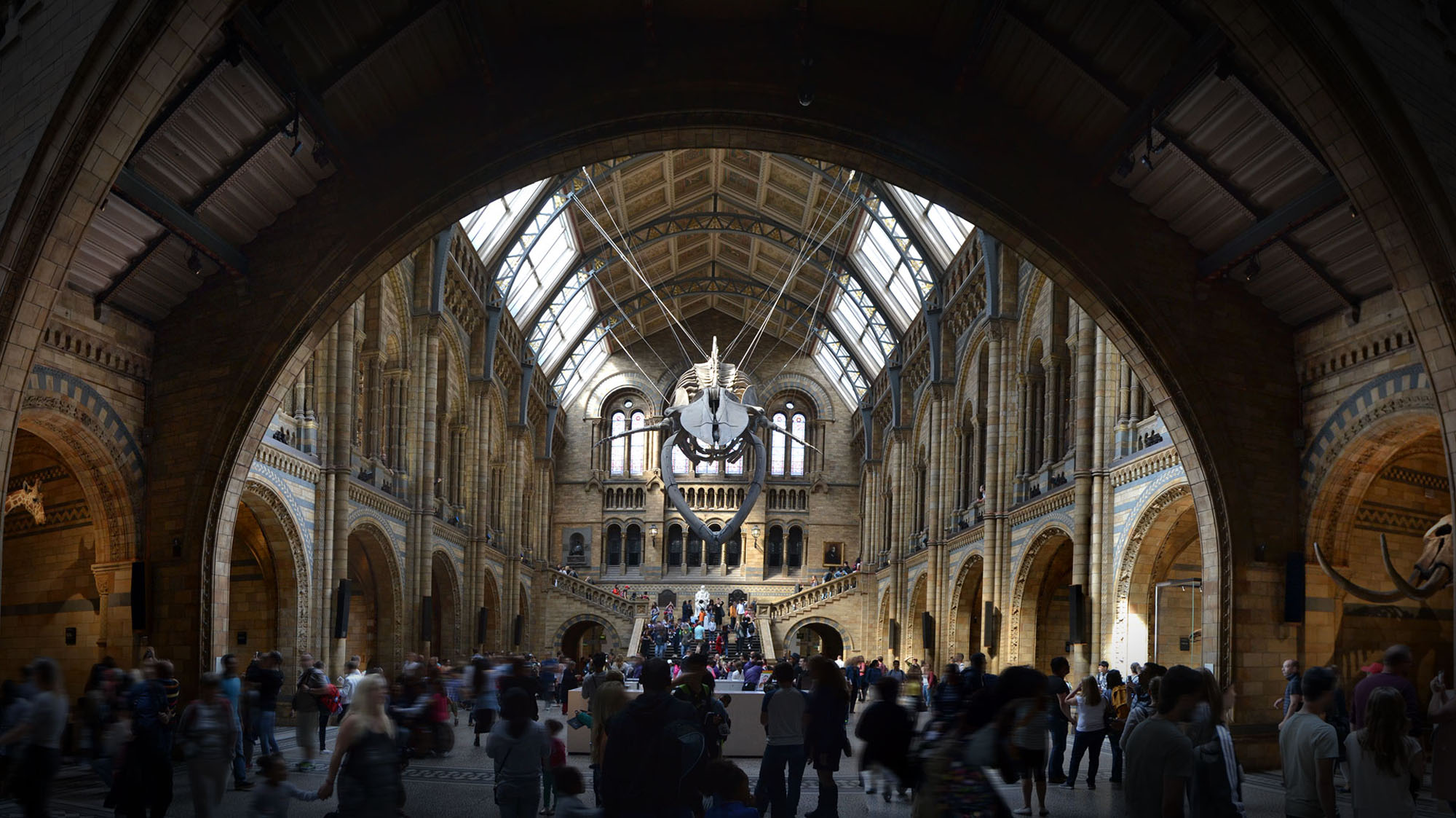 NHM Hintze Hall - Luminii