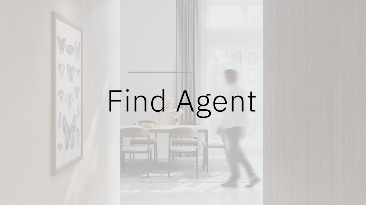 Find Agent - Luminii