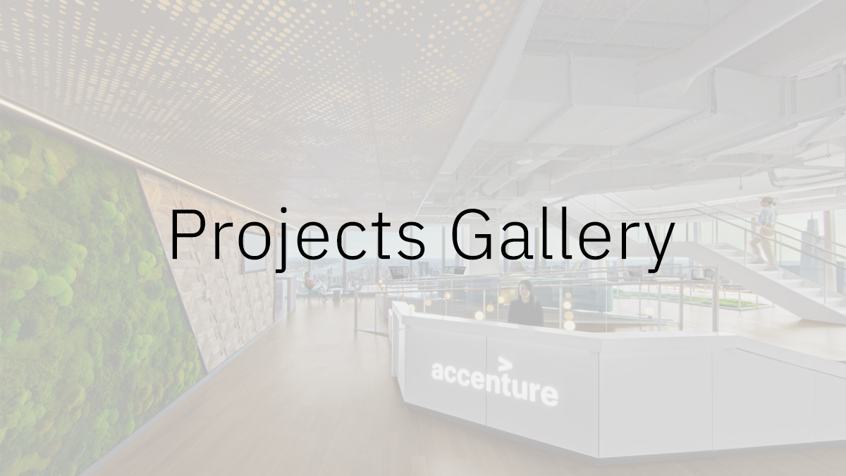 Project Gallery - Luminii