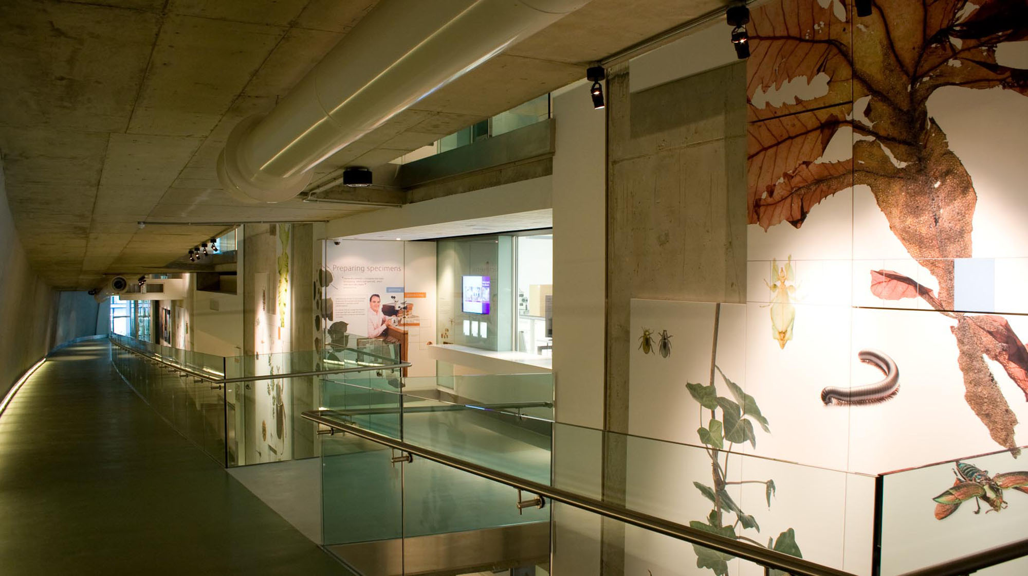 NHM London - Luminii