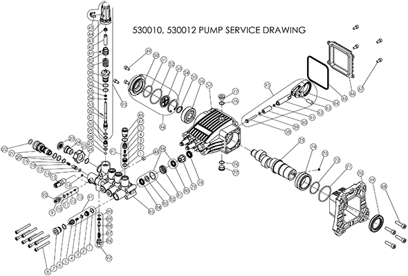 Simpson C41 SERIES 530010, 530012 Pump | Partswarehouse