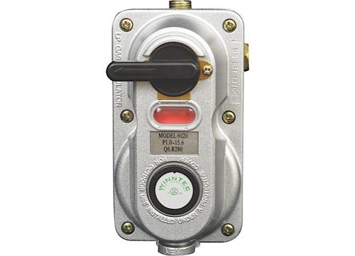 Enerco Enerco Propane Autochangeover Two Stage Regulator Clamshell #ENC ...