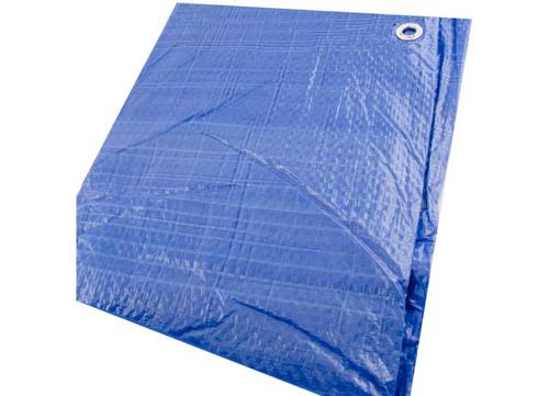 Erickson Manufacturing 20Ft X 40Ft Blue Economy Poly Tarp #ERI-57012 ...