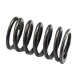 Kohler/Rehlko Spring Valve - Yard Parts and Accessories - PartsWarehouse