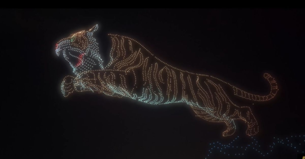 Mysuru’s near 3,000 tiger drone display breaks record